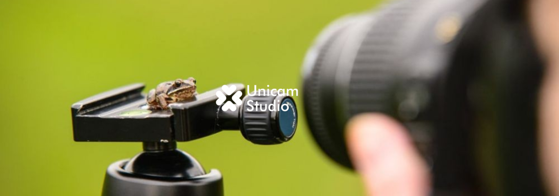 Pentingnya Teknik Makro untuk Detail Objek Kecil - Production House ...